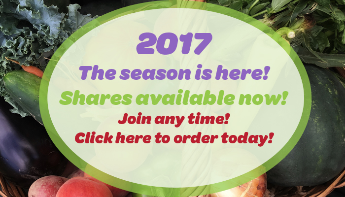 City Fresh – Eat Local, Eat Fresh