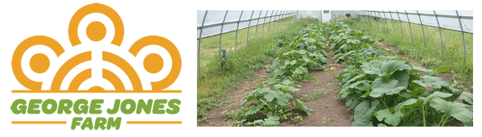 Return Home - City Fresh