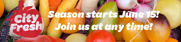 Welcome to City Fresh. - City Fresh