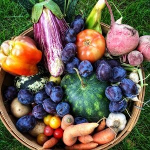 Welcome to City Fresh. - City Fresh