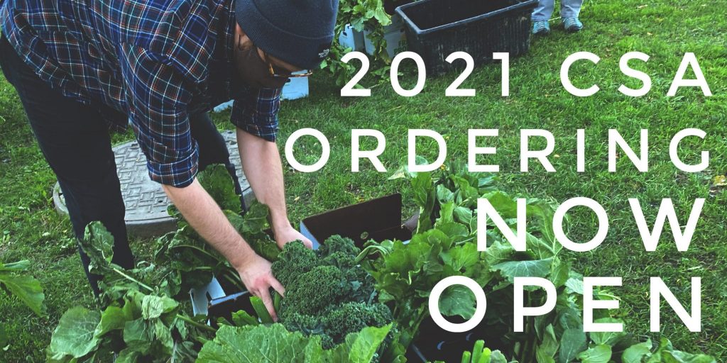 City Fresh – Eat Local, Eat Fresh