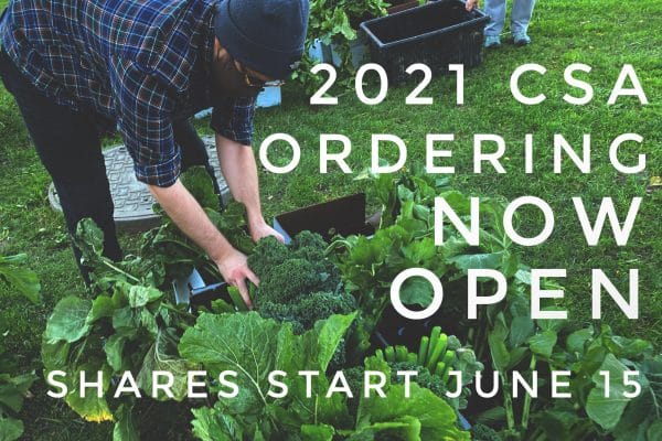 City Fresh – Eat Local, Eat Fresh