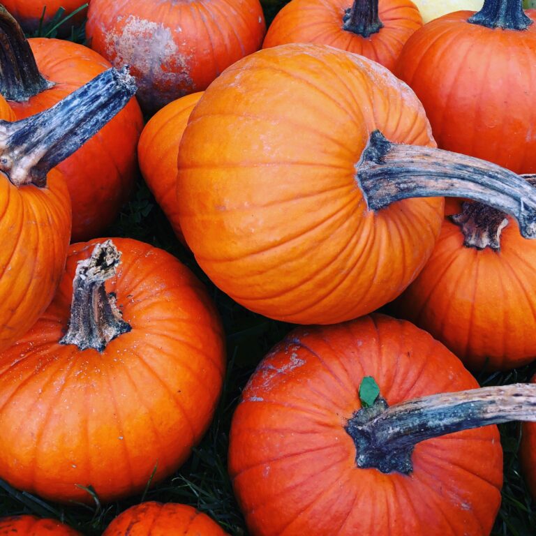 Supporting Cancer Prevention and Wellness Through Nutrition - City Fresh