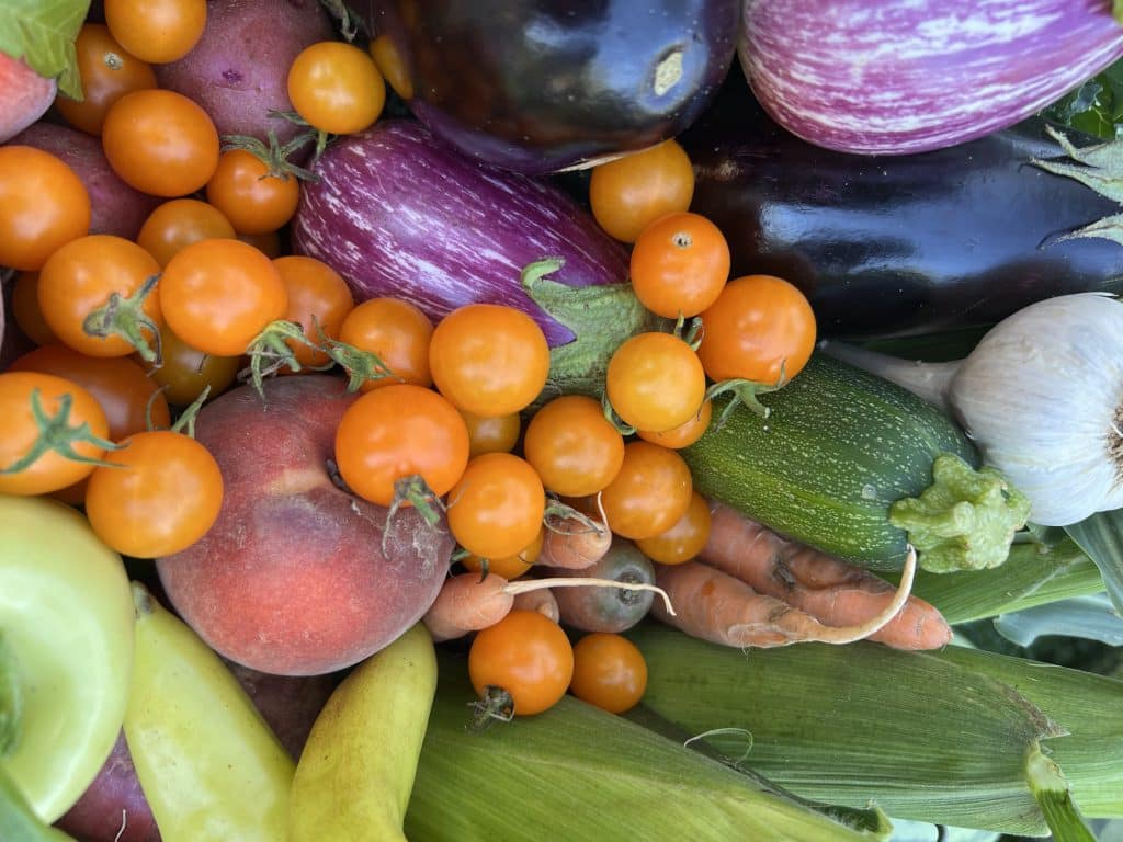 Fresh Local Veggies For All - City Fresh